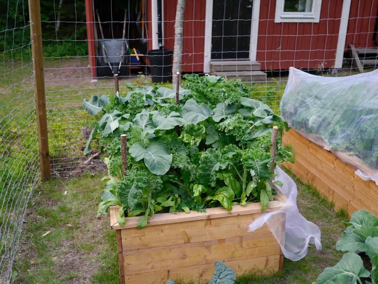 Guide to Building Your Own Garden Boxes - Live Slow Run Far