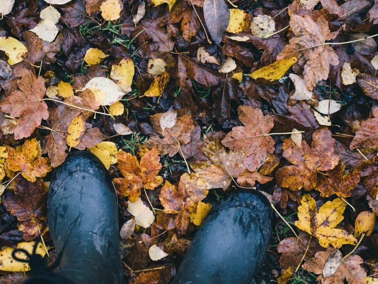 10 Tips for a Better Fall - Live Slow Run Far