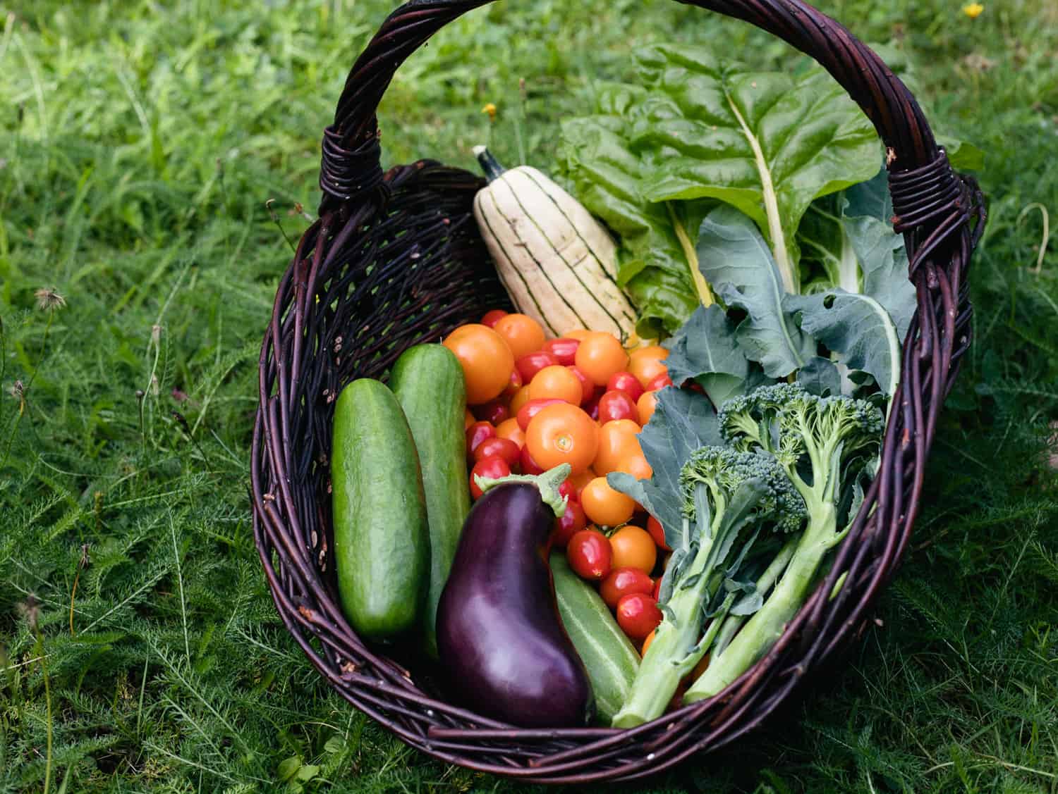 Garden Plan and Sowing Schedule for 2021 - Live Slow Run Far