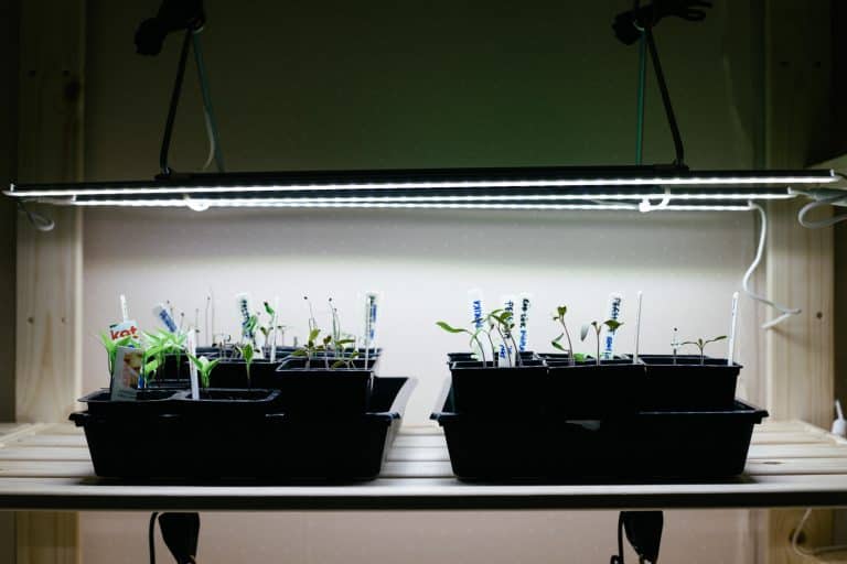 How To Set Up an LED Grow Light Station - Live Slow Run Far
