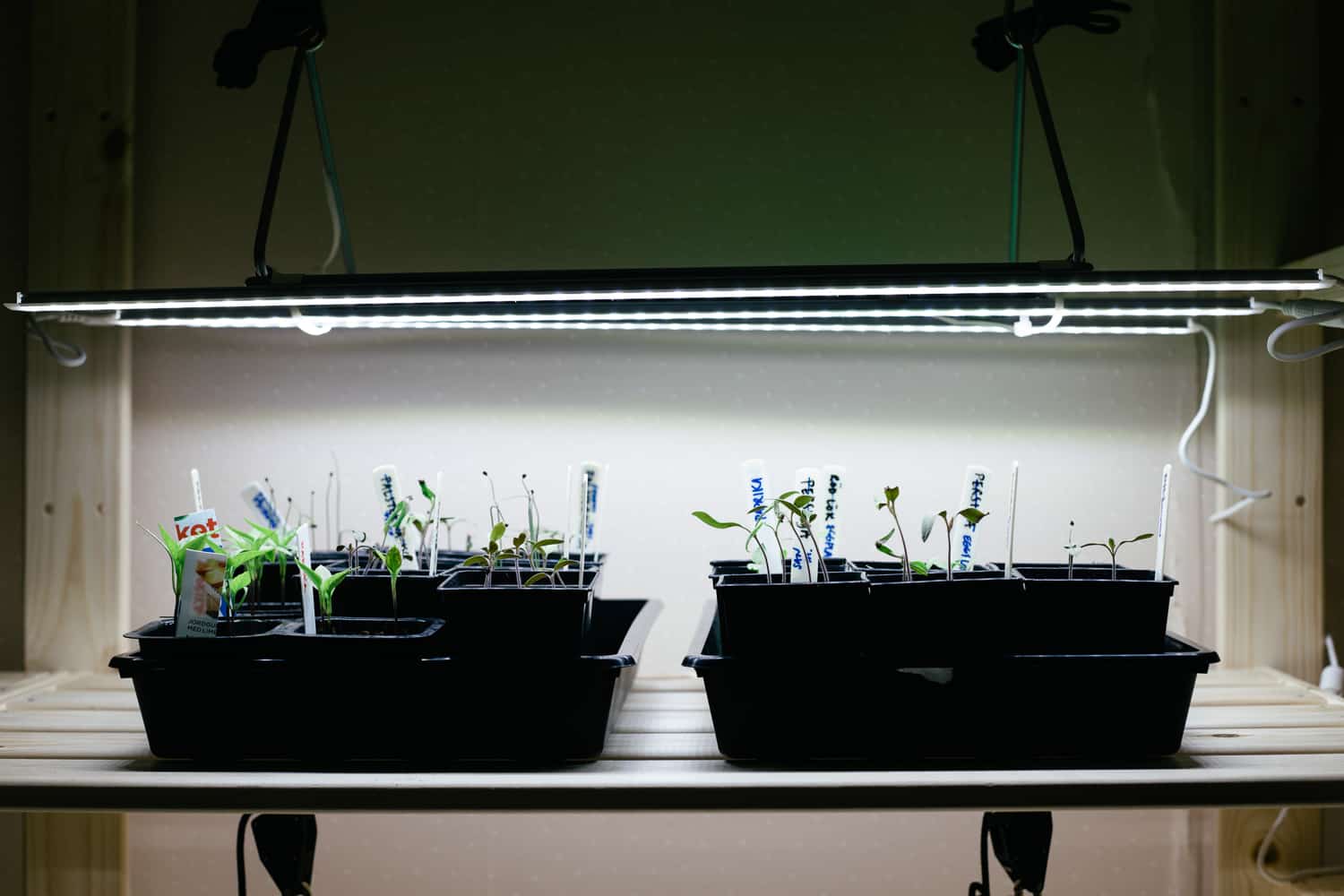 How To Set Up an LED Grow Light Station - Live Slow Run Far
