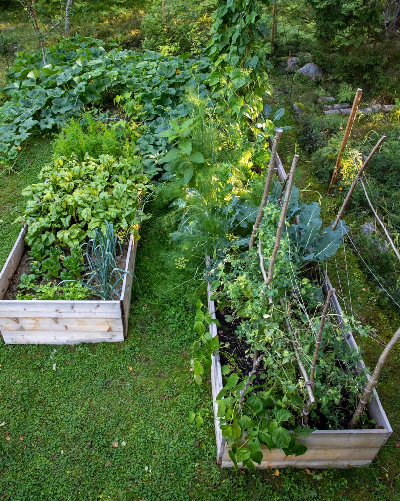 Garden Plan and Sowing Schedule for 2022 - Live Slow Run Far